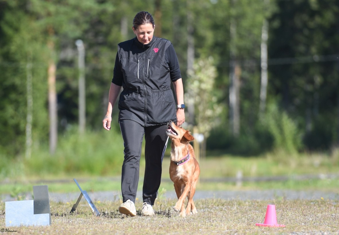 Seminar: vaimne treening – TOPDOG